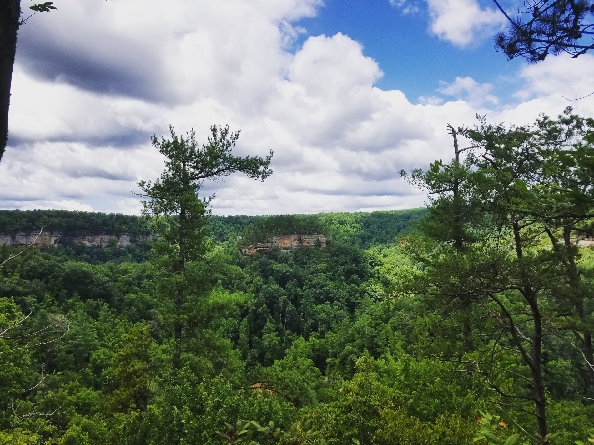 Are You Ready for Spring in Red River Gorge? | Red River Gorge Tourism