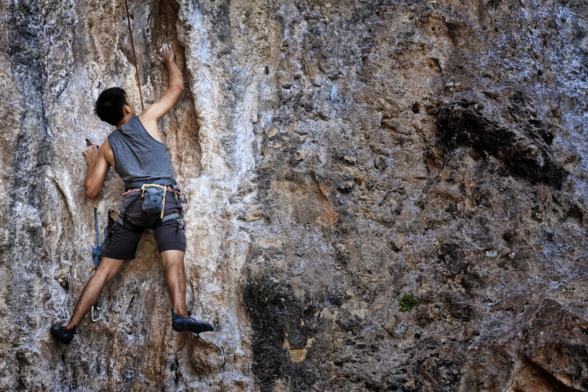 Climbing Spots That Welcome Newer Climbers | Red River Gorge Tourism